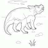 Coloring page | ColorKid.net